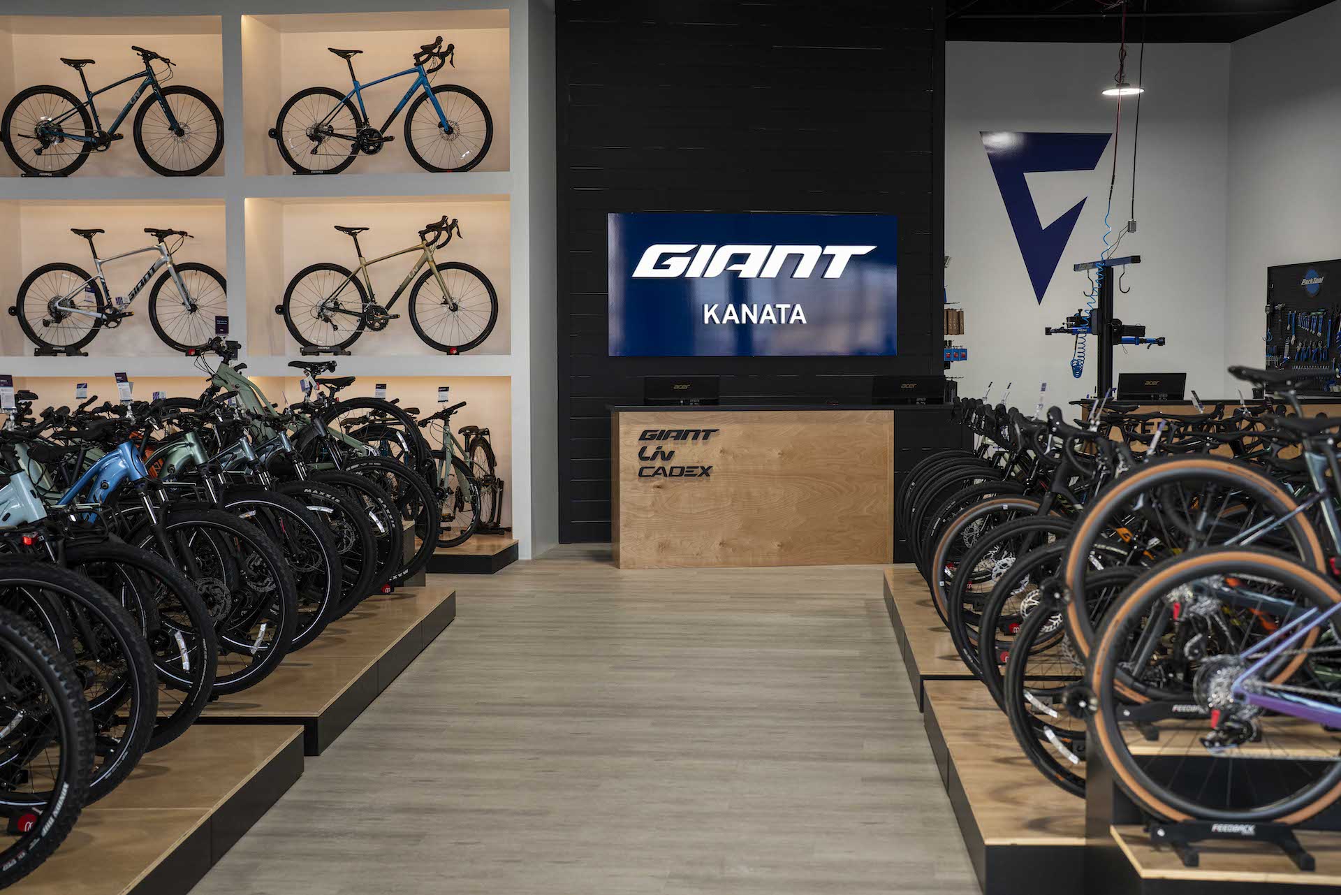 GIANT Bicycles Commercial Store Fit Up - Pineglen Builders | Custom ...